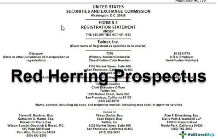 What does a red herring signify on the prospectus for an initial public ...